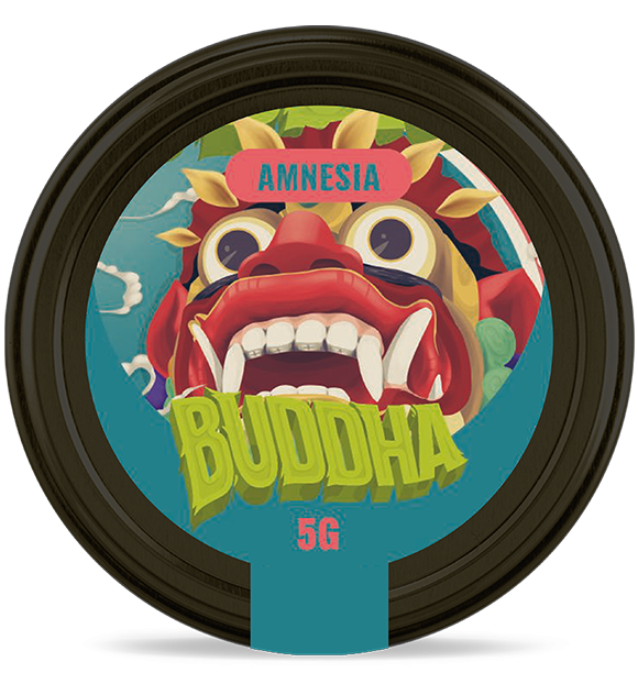 BUDDHA AMNESIA "GREEN HOUSE" 5G - BUDDHA - FLEURS CBD - CBD - Maison de ...