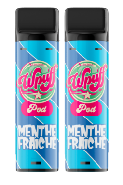 ETUIS 2 PODS V2 MENTHE FRAICHE 0MG - PODS WPUFF V2 0MG - WPUFF - VAPE ...